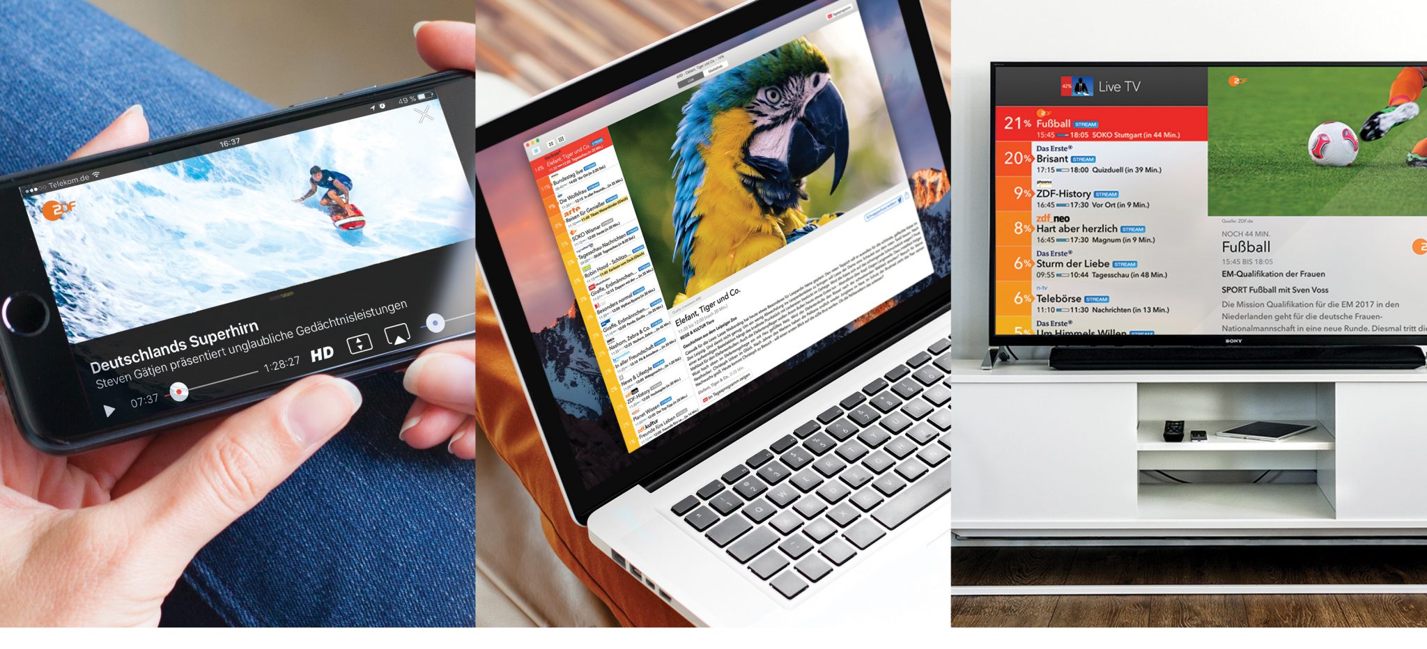 Digitales Fernsehen ohne teure DVB-T2-Kosten. Live TV – die ...